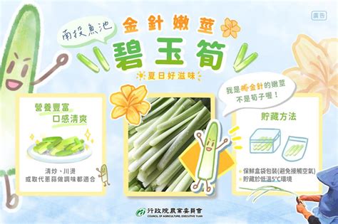 「碧玉筍」不是筍！清甜爽脆、營養豐富還跟「金針花」一家親 食譜自由配 自由電子報