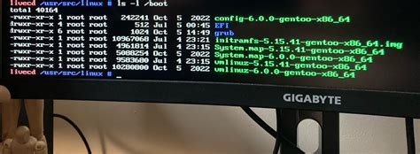 Grub Hangs On Boot Rgentoo