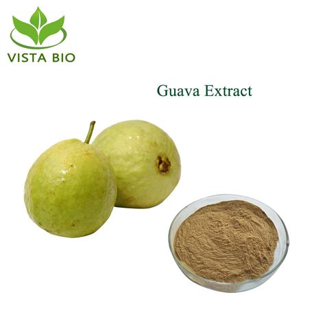High Quality Healthcare Supplements Plant Extract Guava Extract Guava