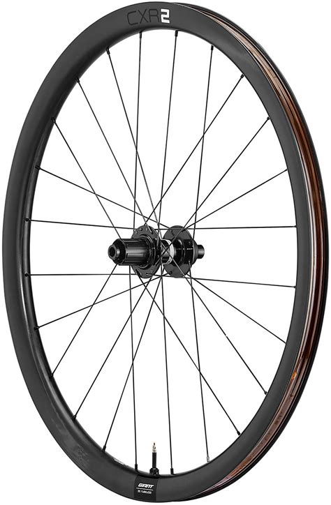 Giant Cxr 2 Carbon Wheelsystem Alf Jones Cycles