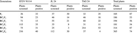Summary Of Backcrossed And Selfed Plants Sampled And Positive Plants Download Table