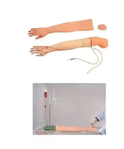 Multi Functional I V Training Arm Teachingnest