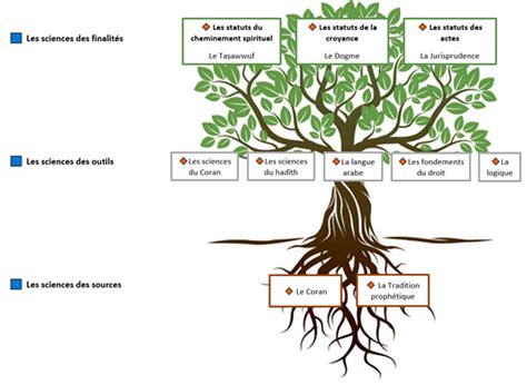 La Classification Des Sciences Religieuses Shaykh Muhammad Mehanna Le Porteur De Savoir
