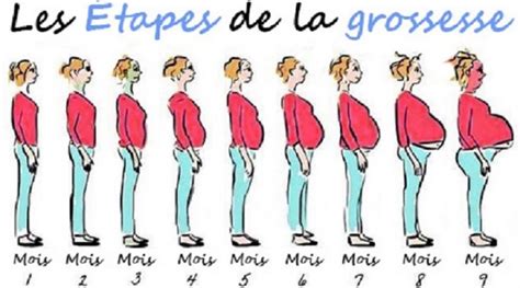Lévolution De Votre Grossesse Mois Par Mois Grands Mères