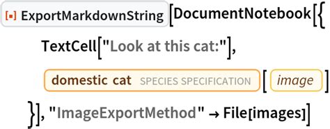 Exportmarkdownstring Wolfram Function Repository