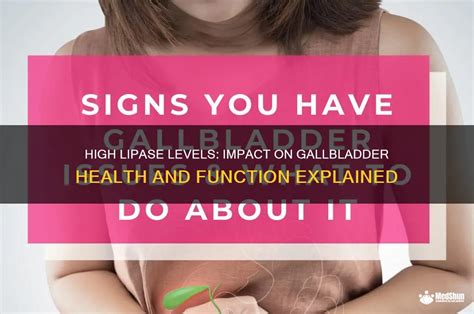 High Lipase Levels Impact On Gallbladder Health And Function Explained