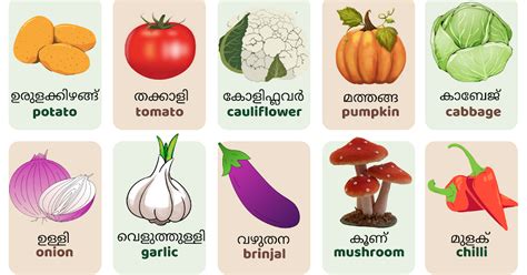 List Of Vegetables Name In Malayalam With Pictures പച്ചക്കറികളുടെ പേര്