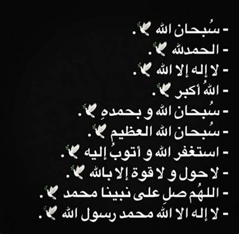 اذكار المسلم