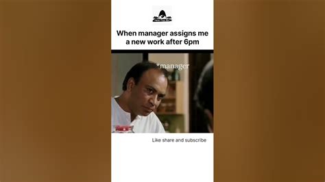 Manager Programmers Life Programmerslife Programmerlife Viralvideo Shorts Viralshorts