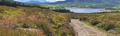 Llyn Celyn And Ffordd Y Drum Gwynedd Wales Map Guide Alltrails