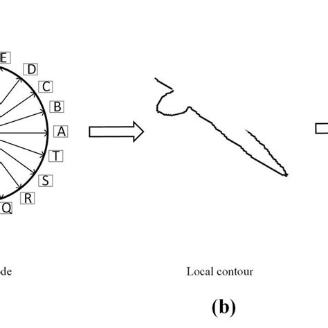 A The Specified 20 Orientation Coding Diagram Which Contains