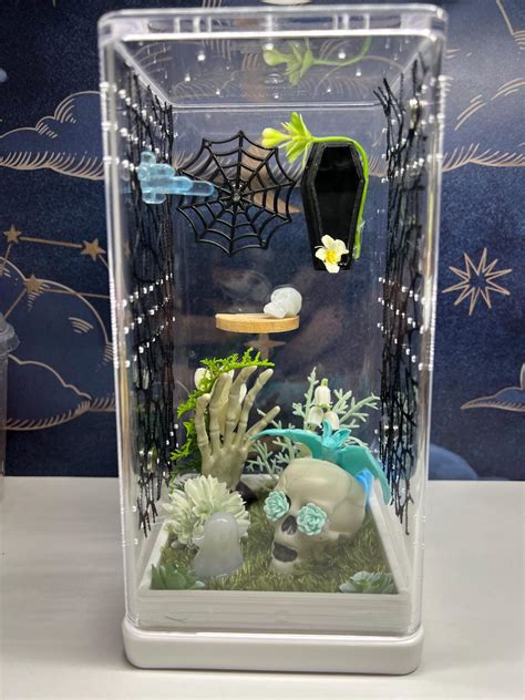Jumping Spider Enclosure 4x4x8 Spooky Pastel Blue Cemetery Theme Skeleton Skull Halloween