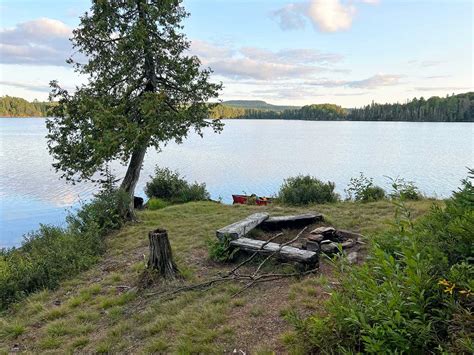 White Trout Lake Campsite 5 In Algonquin Park