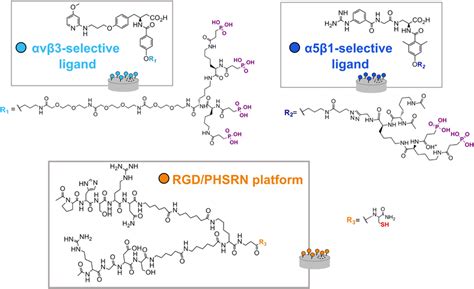 Chemical Structure Of The Integrin Binding Ligands αvβ3 Selective
