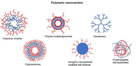 Biomedical Applications Of Multifunctional Polymeric Nanocarriers A R Ijn