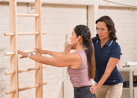 Corealign Wall Mounted Ladder Balanced Body Rehab Equipment