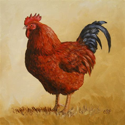 Red Rooster