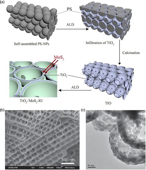 A Schematic Representation For Fabrication Of Tio2 Mos2‐io Structure Download Scientific