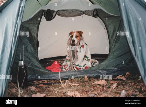 Funny Tent Camping 159 Un Tent Ionally Camping Puns For Wild Funny