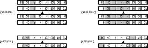 Some Of The Genetic Operators Used In The Analysis Download Scientific Diagram