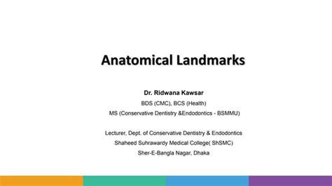 Anatomical Landmarks Of Toothpptx