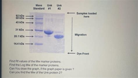 Solved Find Rf Values Of The Mw Marker Proteins Find The