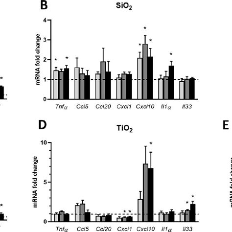 The Effects Of The 4 Engineered Nanoparticles En Individually And In