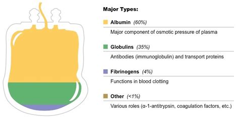 Plasma Proteins Bioninja
