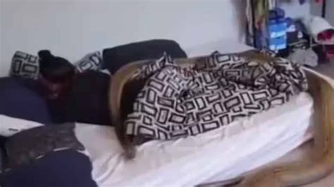 Watch అప్పుడే నిద్ర లేచిన మహిళకు అనుకోని షాక్‌ మంచంపై తనతో పాటు ఉన్న