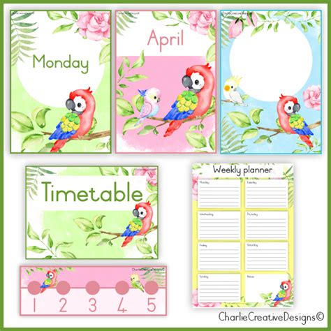 Red Parrot Classroom Theme Charlie Creative Designs
