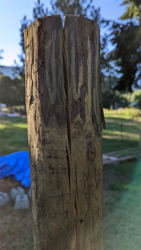 Bisecting Trees With Fence Ok To Nail Fence To Tree Fencebuilding