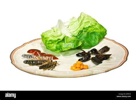 Restaurant Optional Plate Disgusting Grasshopper Food Dish Meal Locusts