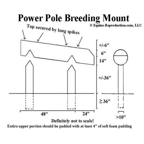 Building A Phantom Mare Breeding Mount For Stallions