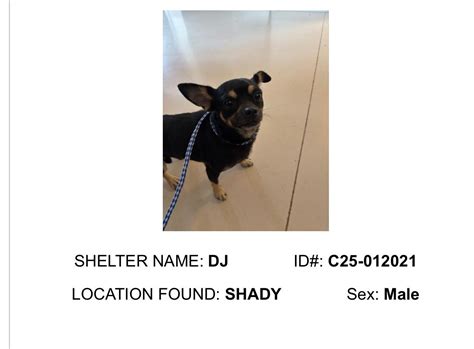 Bell County Texas Bell County Texas Animal Shelter