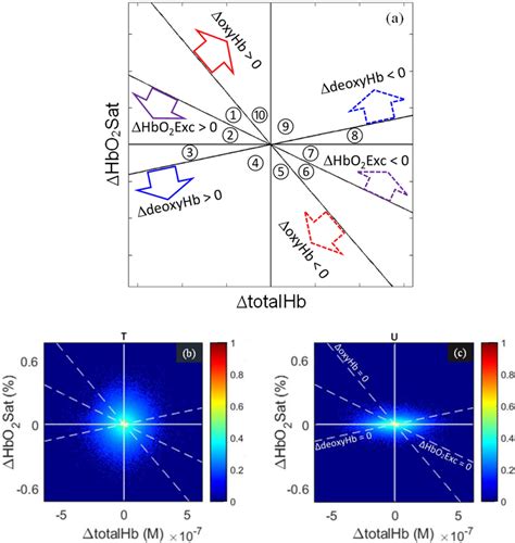 Mapping Of Continuous Time Series Signals Into Discrete Hb States A Download Scientific