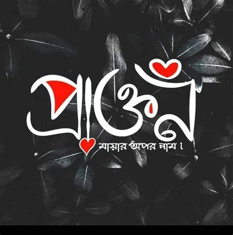 Md Mahbub Islam