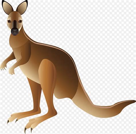 卡通袋鼠png图片素材下载图片编号11071172 Png素材网