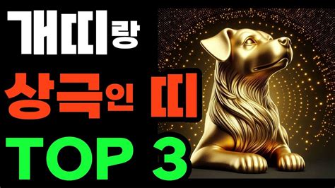 개띠랑 상극인 3가지 띠 개띠와상극띠 대박행운 상극띠 개띠운세 풍수 띠별사주 Youtube