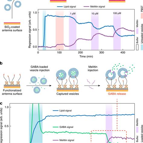 Hatice Altug Professor Associate Phd In Applied Physics École Polytechnique Fédérale De