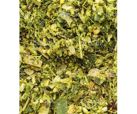 Dairy Farm Corn Silage Grade Feed Grade Packaging Type Loose At ₹ 6