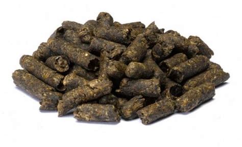 Beet Pulp Equiform Direct Quality Equine Products And Nutritional