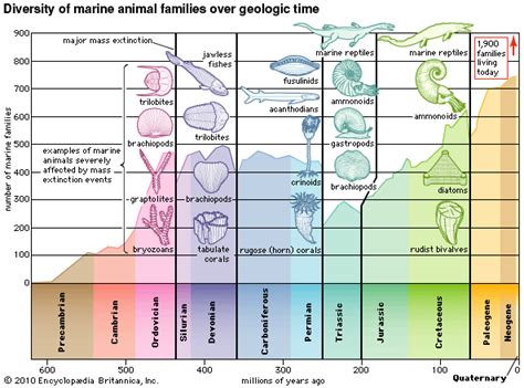 Minerals And Mass Extinction Oceans Of Life Rosie Research