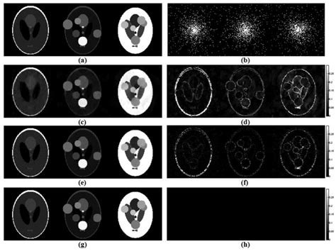 Multi Contrast Reconstruction With Bayesian Compressed Sensing