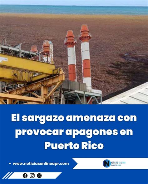 Noticias Sí Así Como Lo Lee Detalles Bufflyo57ncz3 El