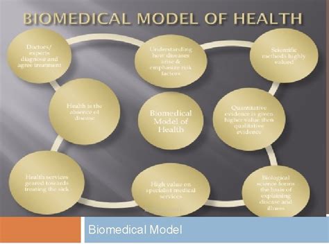 Views On Health Models Health Experts Biomedical Model