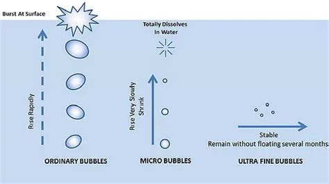 Tiny Bubbles Huge Potential Nanobubbles Explained