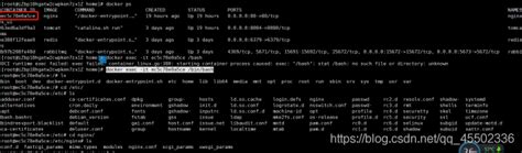 Docker安装nginx并且部署vue项目超详细docker 配合nginx部署vue项目 Csdn博客