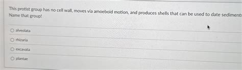 Solved This Protist Group Has No Cell Wall Moves Via