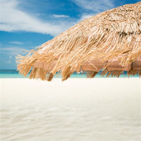 Hula Umbrellas Raffia Thatch