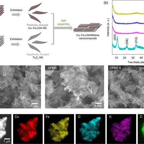 A Synthesis Scheme To Cfm Nanohybrid B Powder Xrd C Fe Sem And